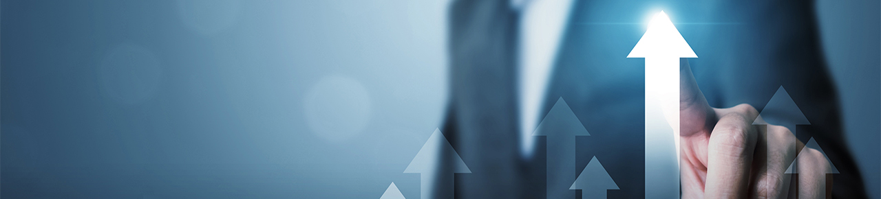 Increase your bottom line - Commercial assistance - Risvig Consulting